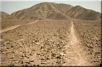 Are You Getting the Top Level View of Your Data?