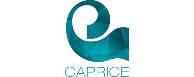 Caprice runs a profitable business using data | Case study