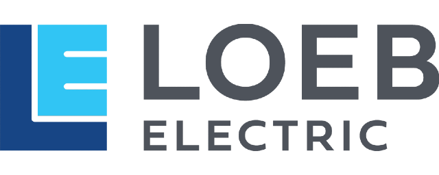 Loeb Electric spots trends using data analytics | Case study
